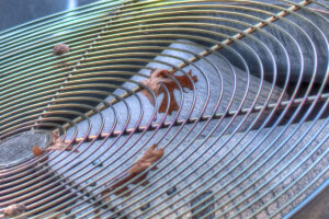 How to Clear Leaves Out of Your HVAC System - Sun Heating & Cooling ...